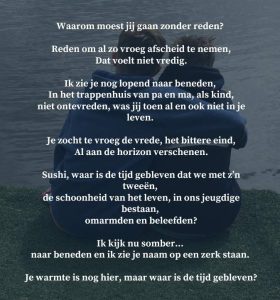 De 6 Mooiste Gedichten Bij Overlijden Broer – Paradijsvogels Magazine